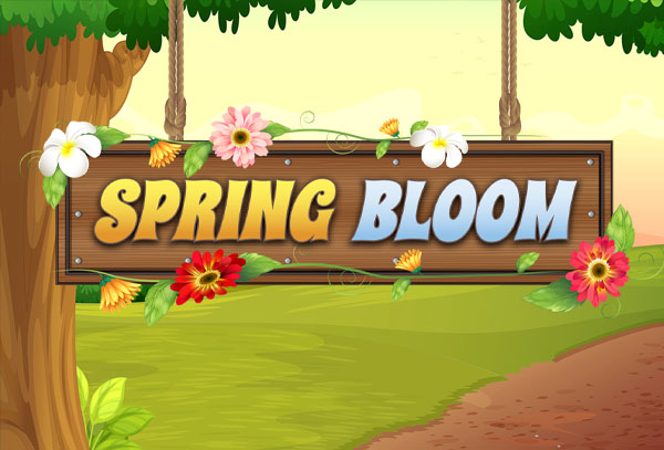 Casino Promotions: Win Cash, Free Slot Play, & Prizes